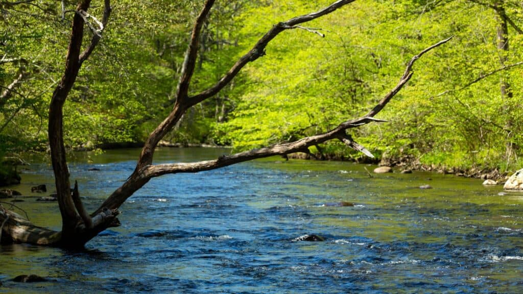 Connecticut Lakes and Rivers Map: Exploring Nature’s Beauty