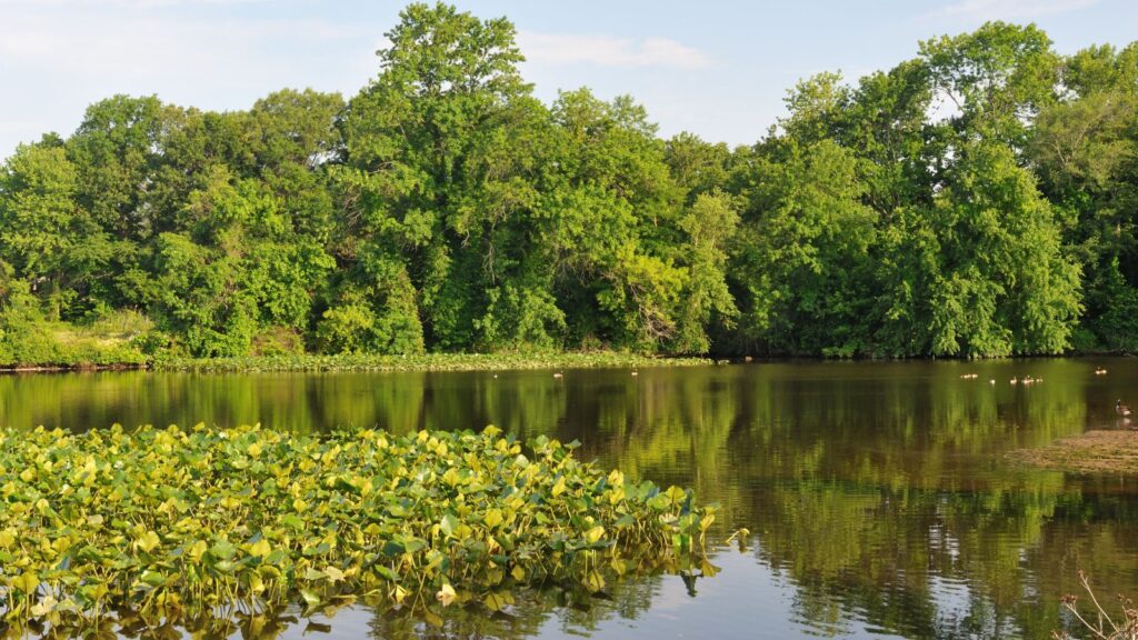 Delaware Lakes and Rivers Map: Beautiful Waterways