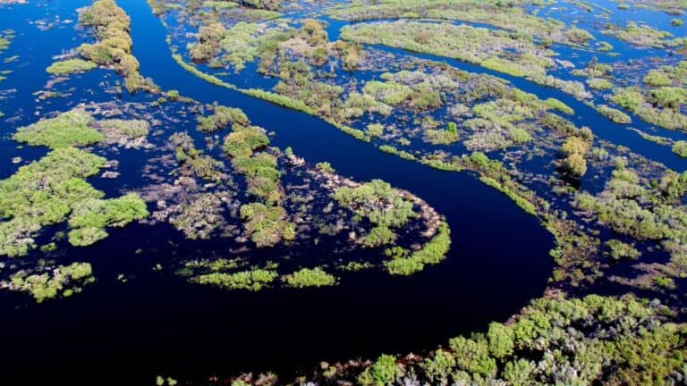 Florida Lakes and Rivers Map: Charting Aquatic Adventures