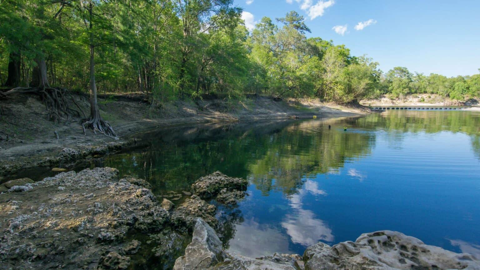 Florida Lakes and Rivers Map: Charting Aquatic Adventures