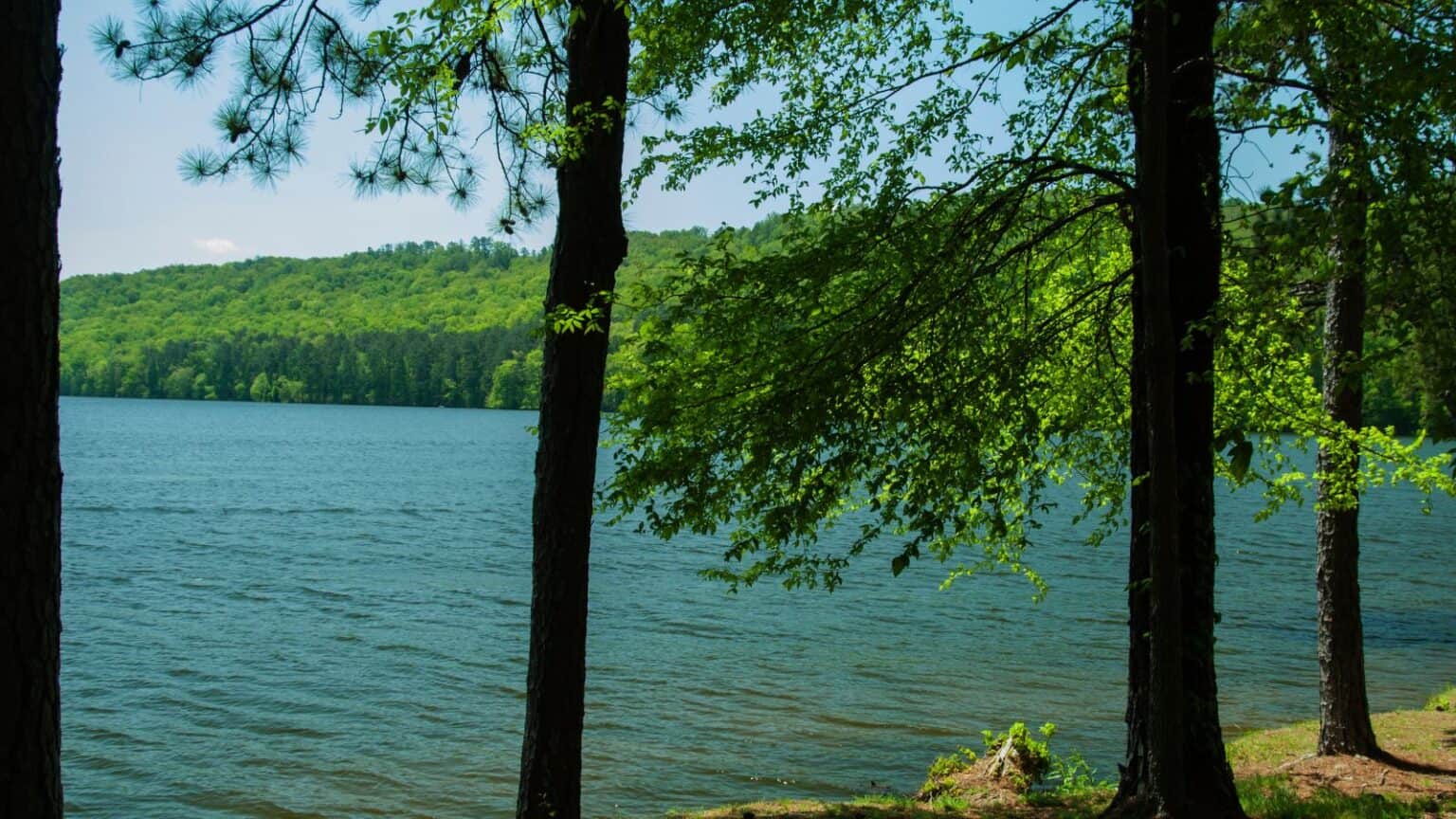 Alabama Lakes and Rivers Map: A Geographical Treasure Trove