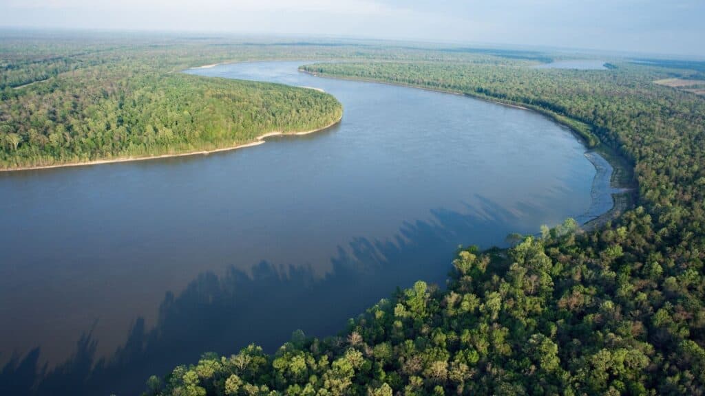 The Louisiana Lakes and Rivers Map: A Bayou Voyage