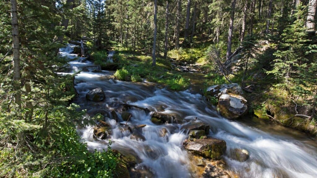 New Mexico Lakes and Rivers Map: Enchanted Waterways