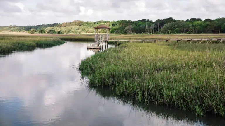 South Carolina Lakes and Rivers Map: Winding Waterways