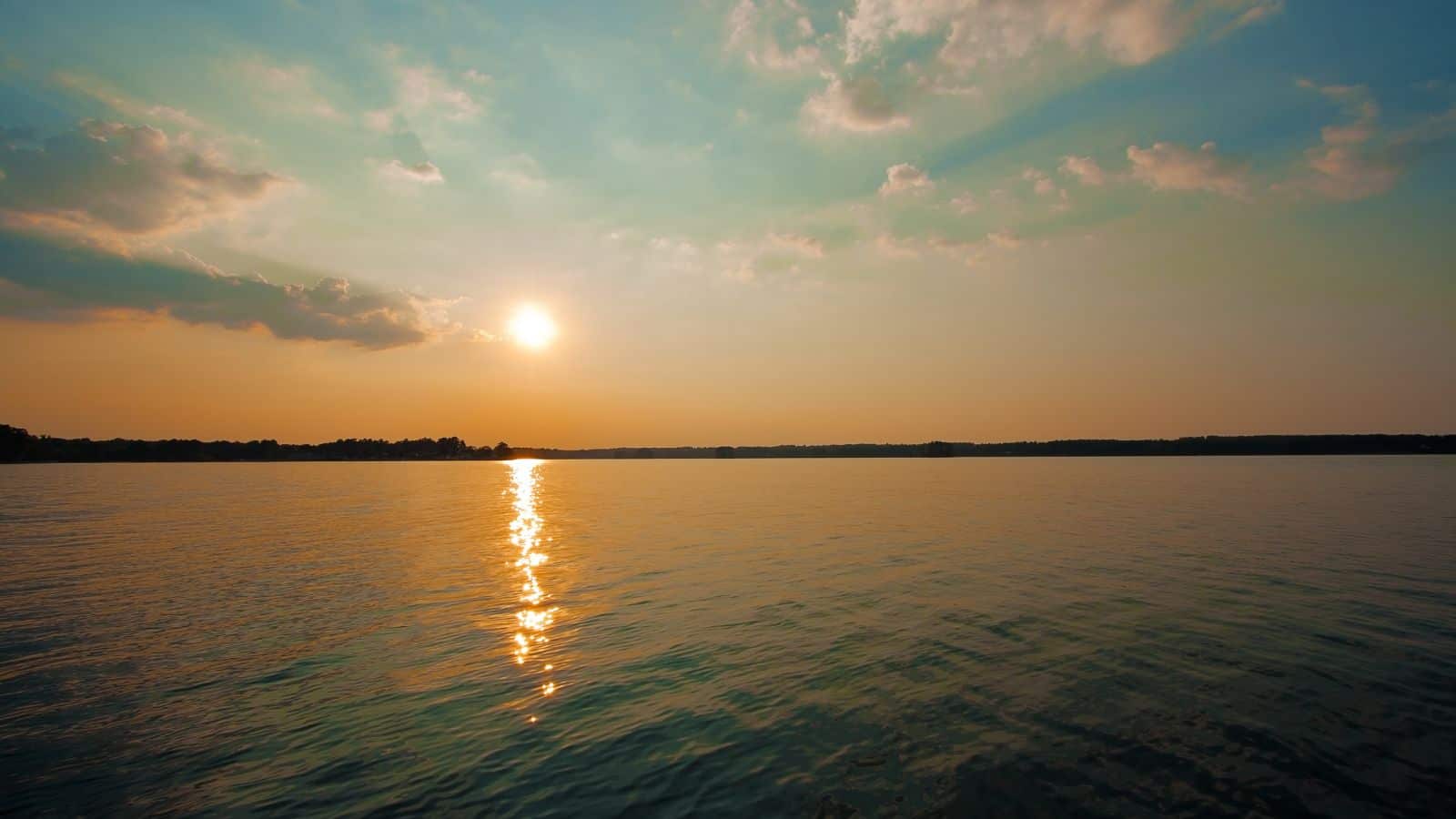 South Carolina Lakes and Rivers Map: Winding Waterways