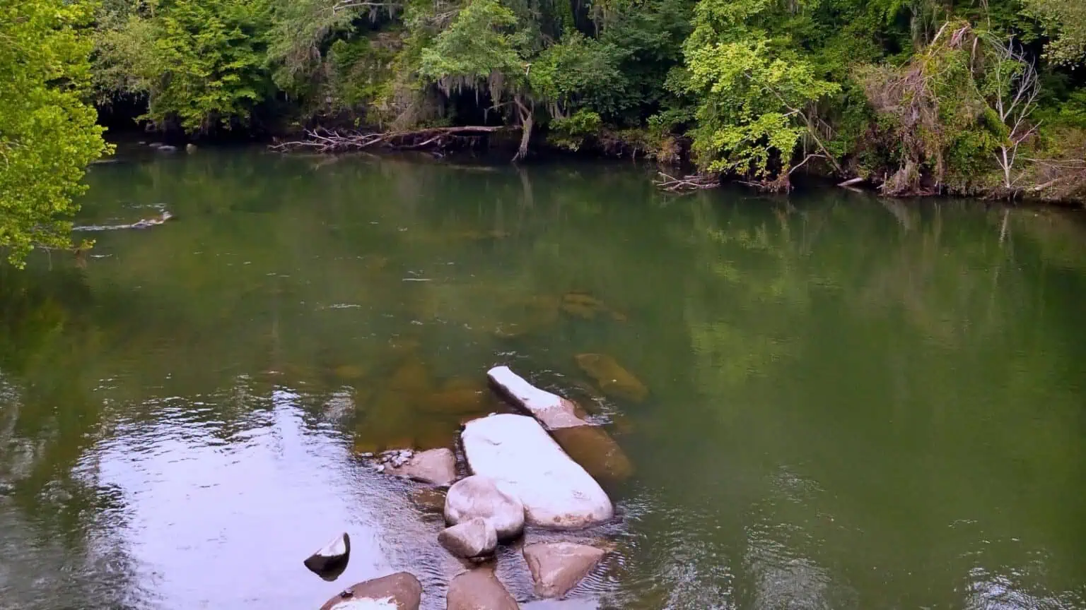 South Carolina Lakes and Rivers Map: Winding Waterways