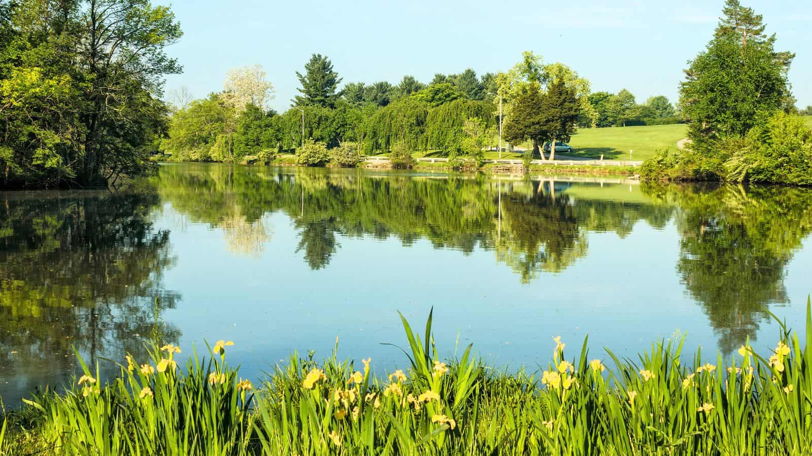 Virginia Lakes and Rivers Map: Old Dominion's Waterways