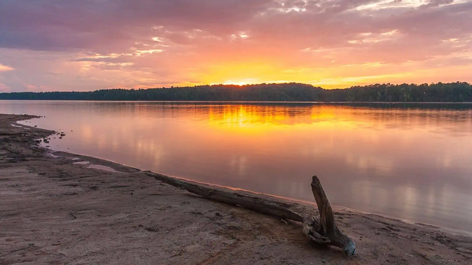 Alabama Lakes and Rivers Map: A Geographical Treasure Trove