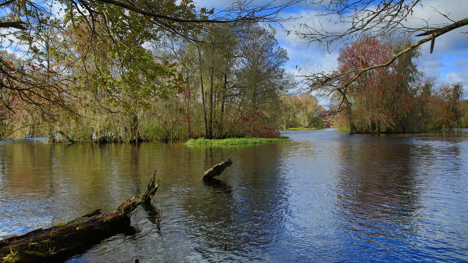 Florida Lakes and Rivers Map: Charting Aquatic Adventures