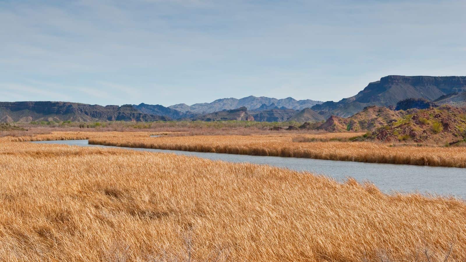 Arizona Lakes and Rivers Map: Astonishing Waterways
