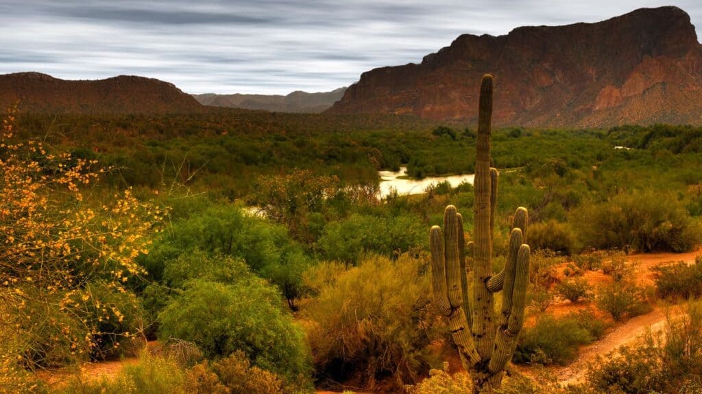 Arizona Lakes and Rivers Map: Astonishing Waterways