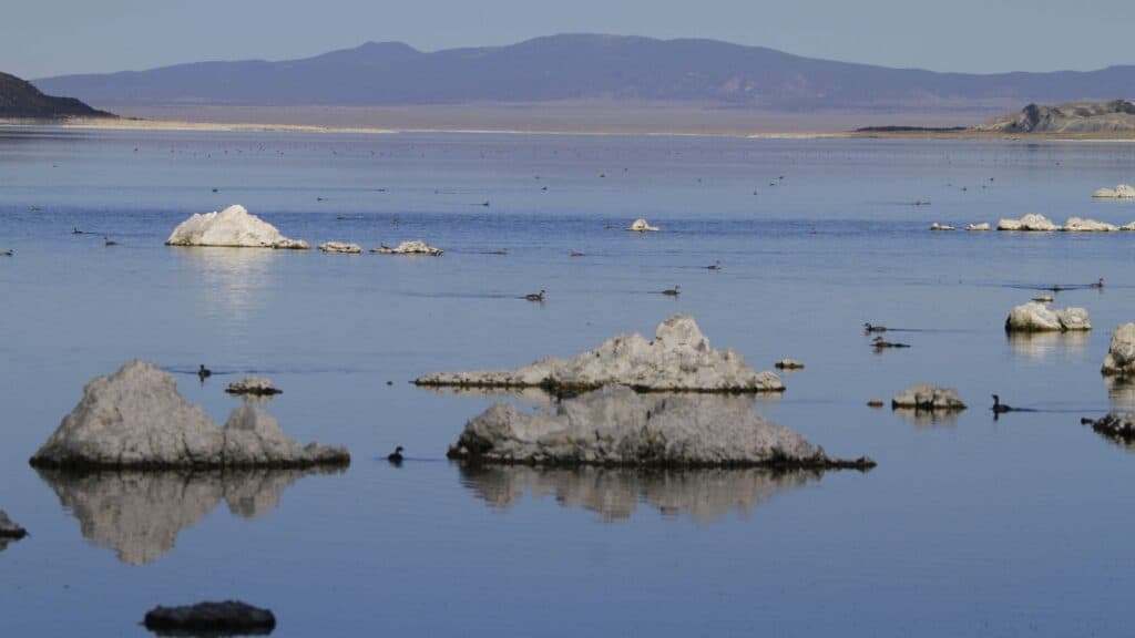 California Lakes and Rivers Map: Astounding Geography