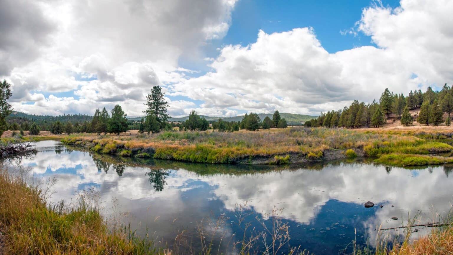 California Lakes and Rivers Map: Astounding Geography