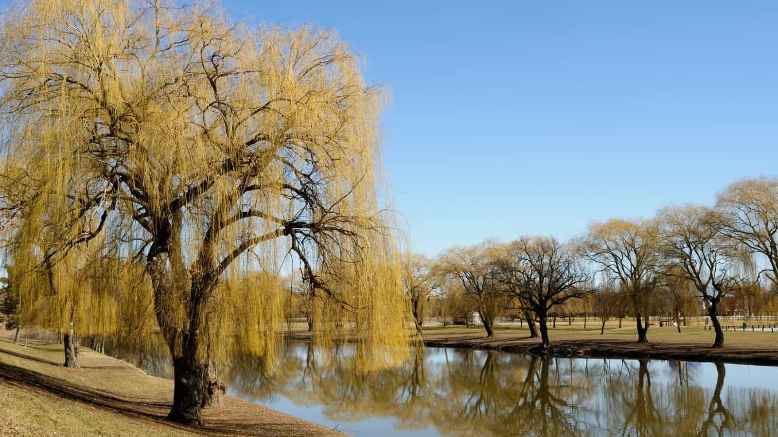 Michigan Lakes and Rivers Map: Navigating the Waterways