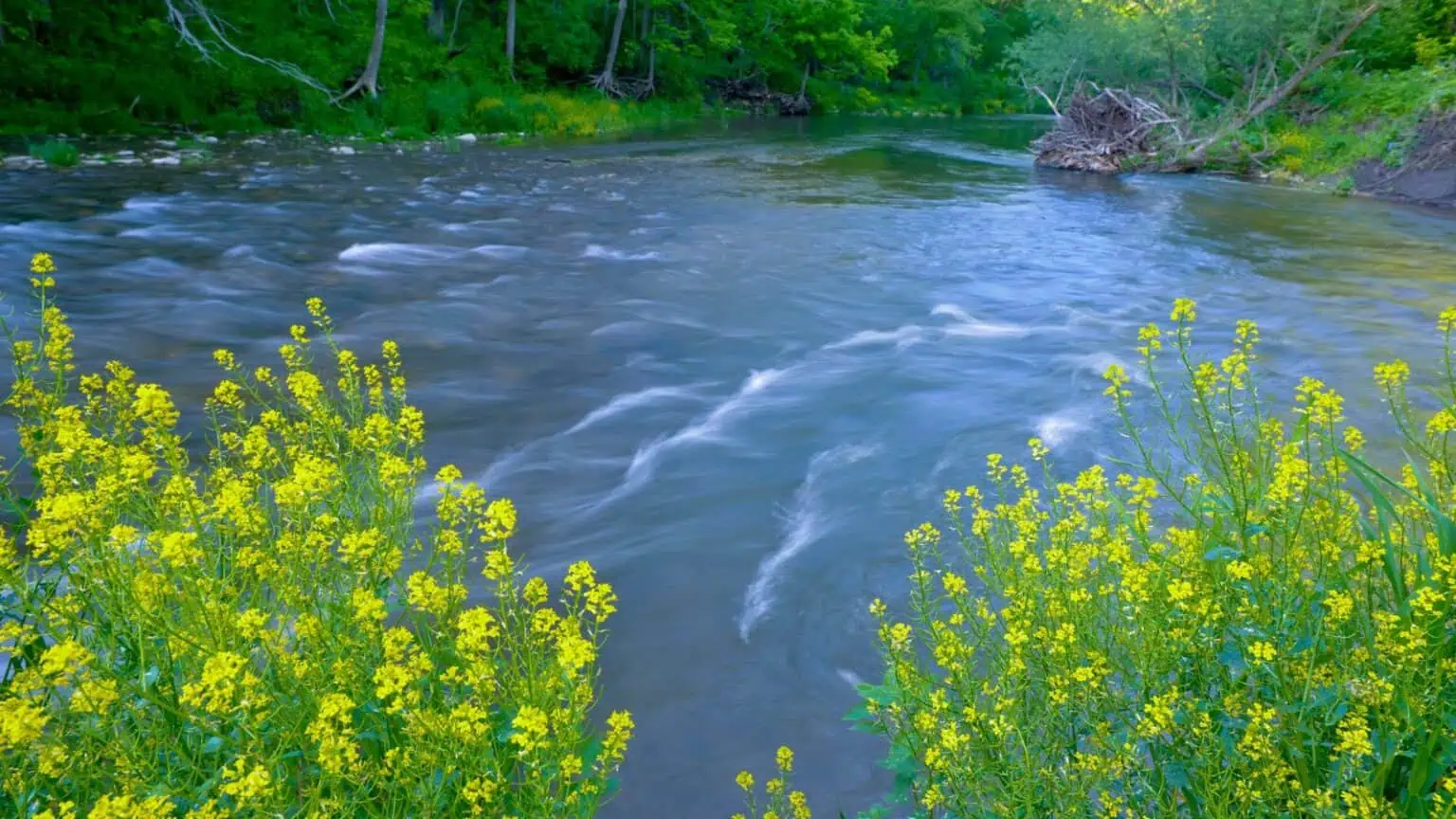 Minnesota Lakes and Rivers Map: A Paradise of Waterways