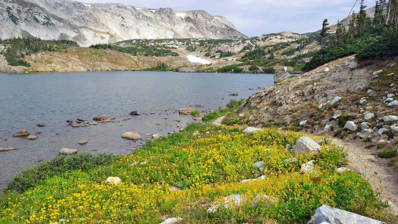 Wyoming Lakes and Rivers Map: Stunning, Diverse Waterways